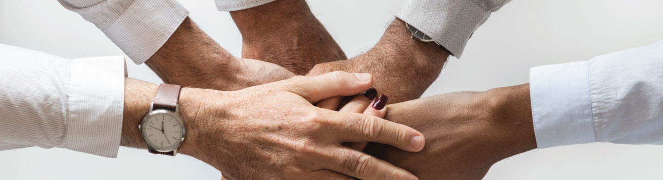 Meie meeskond - Elamus Spa